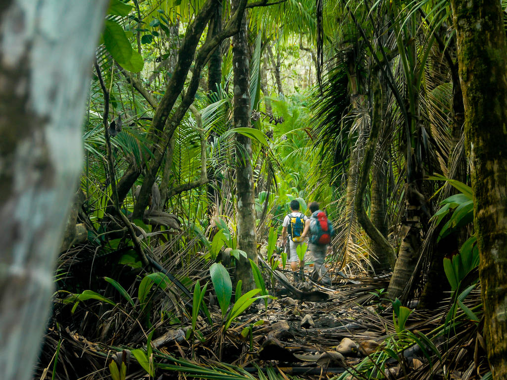 15 Best National Parks in the World