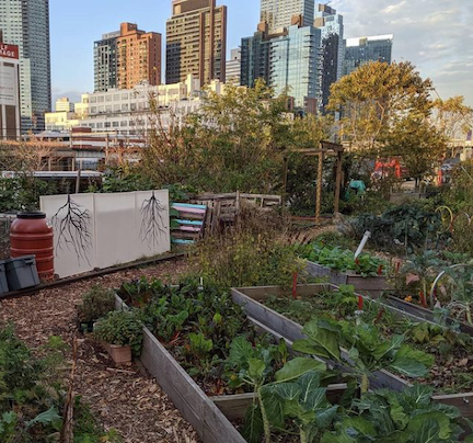 Smiling Hogshead Ranch | Attractions in Long Island City, New York