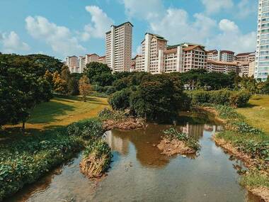 Hiking in Singapore: 18 Amazing Walking Trails For Trekkers To Try