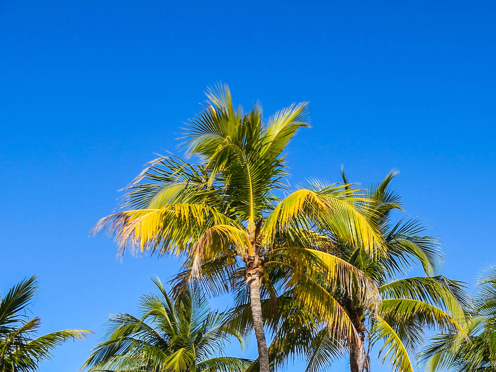 9 best places to go camping in and around Miami