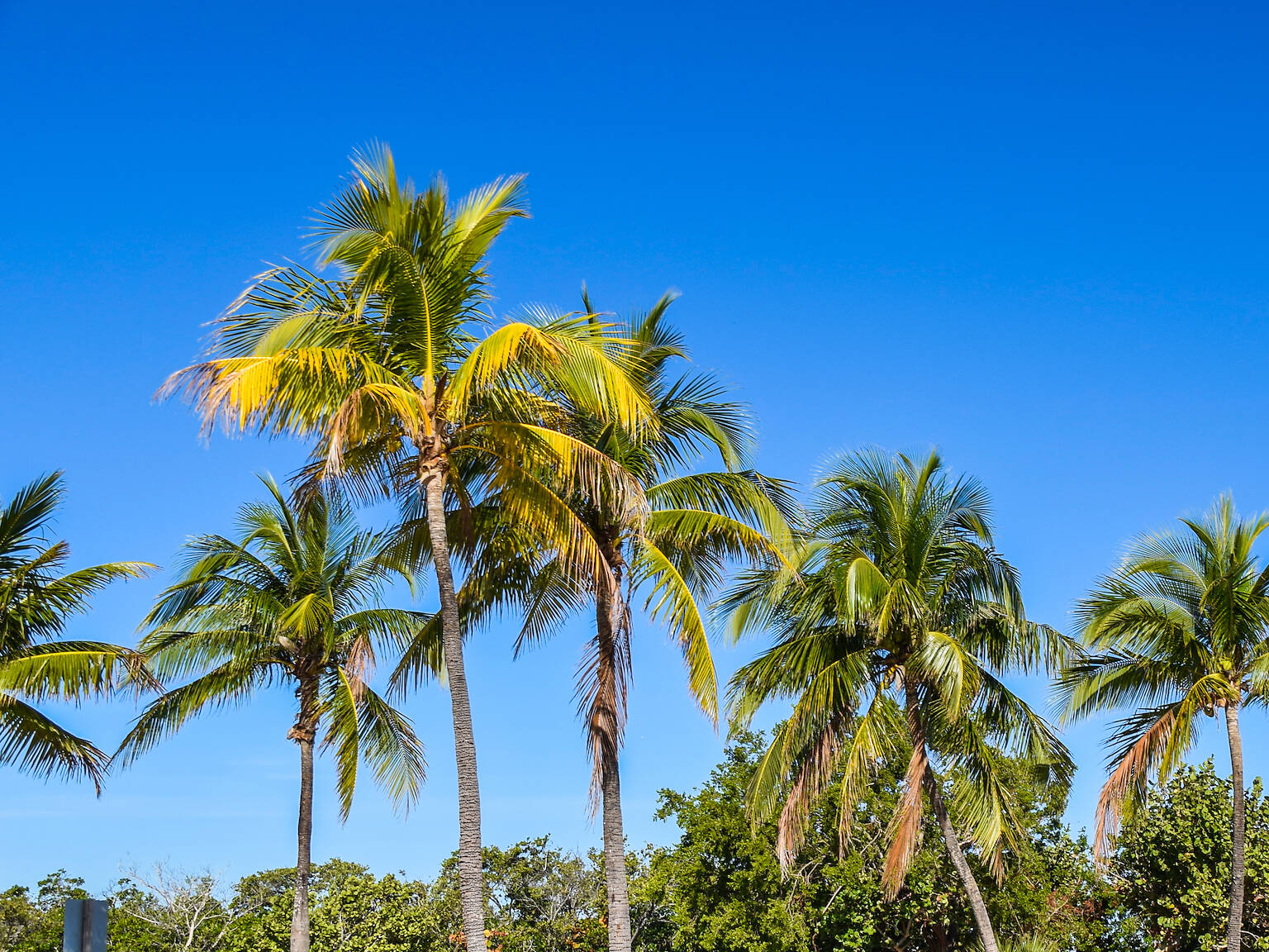 9 best places to go camping in and around Miami