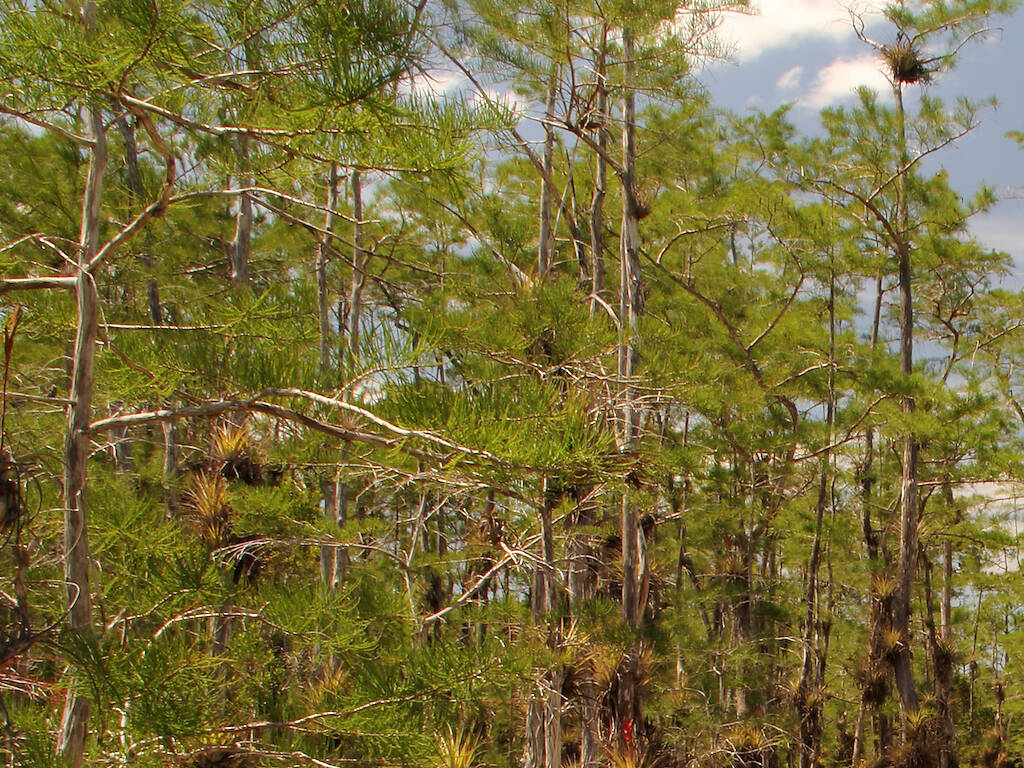 9 best places to go camping in and around Miami