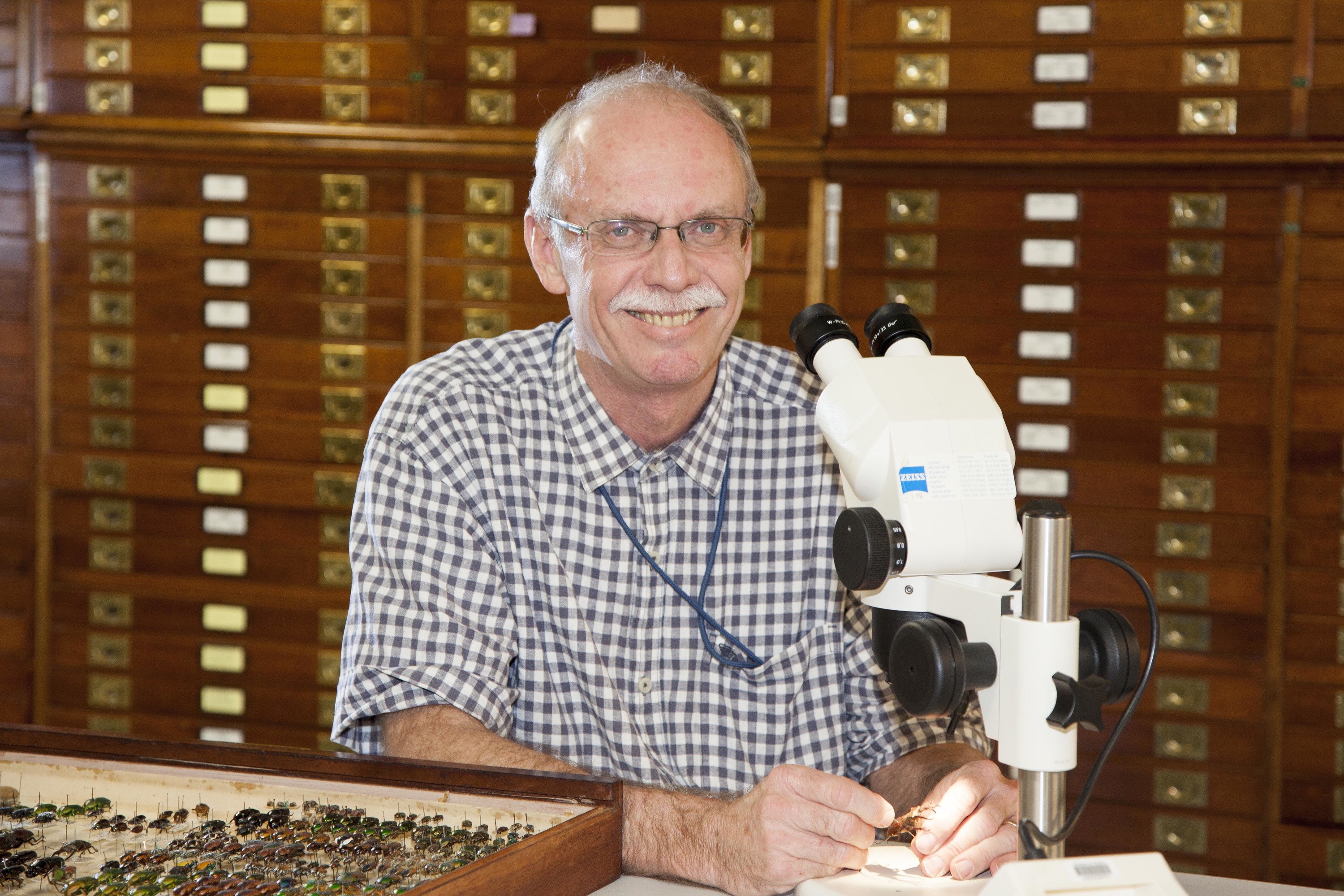 The beauty of bugs, according to Melbourne Museum's Dr Ken Walker