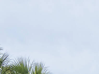 14 Haunted Places in Miami and Sinister Towns to Explore Nearby