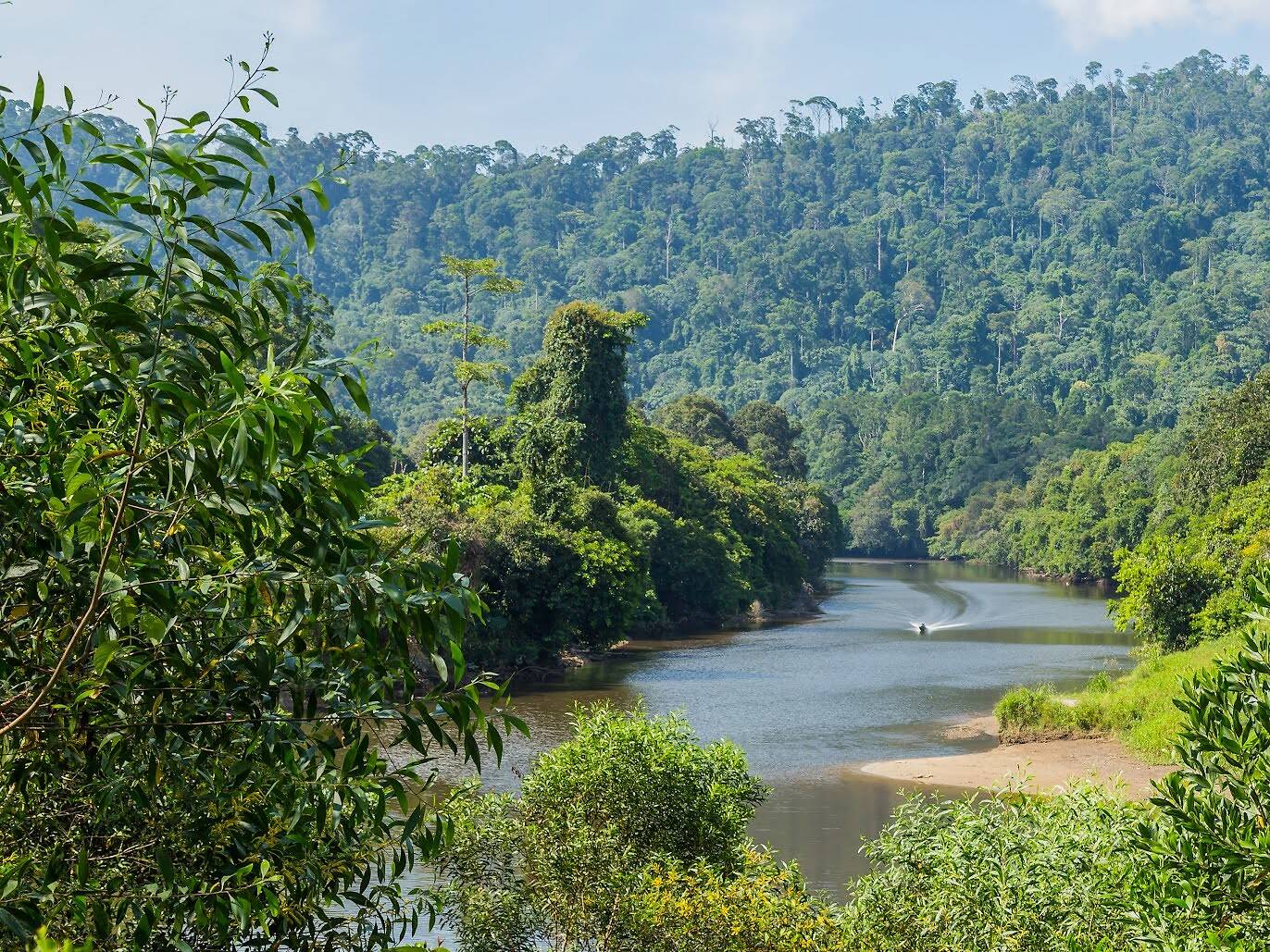 The Best Diving And Hiking Spots in Brunei