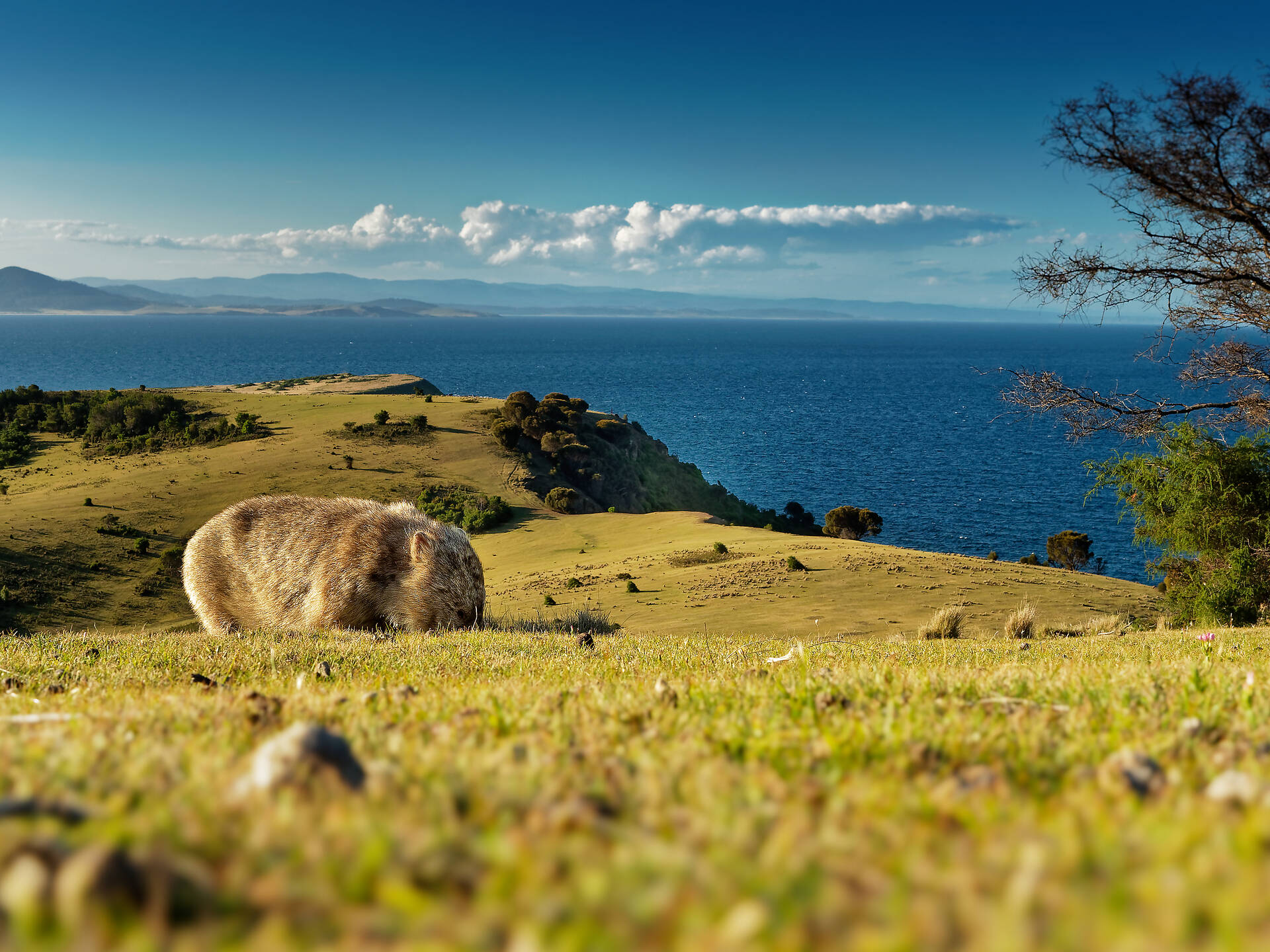 16 Best Hikes and Beautiful Trails in the World, By Time Out editors