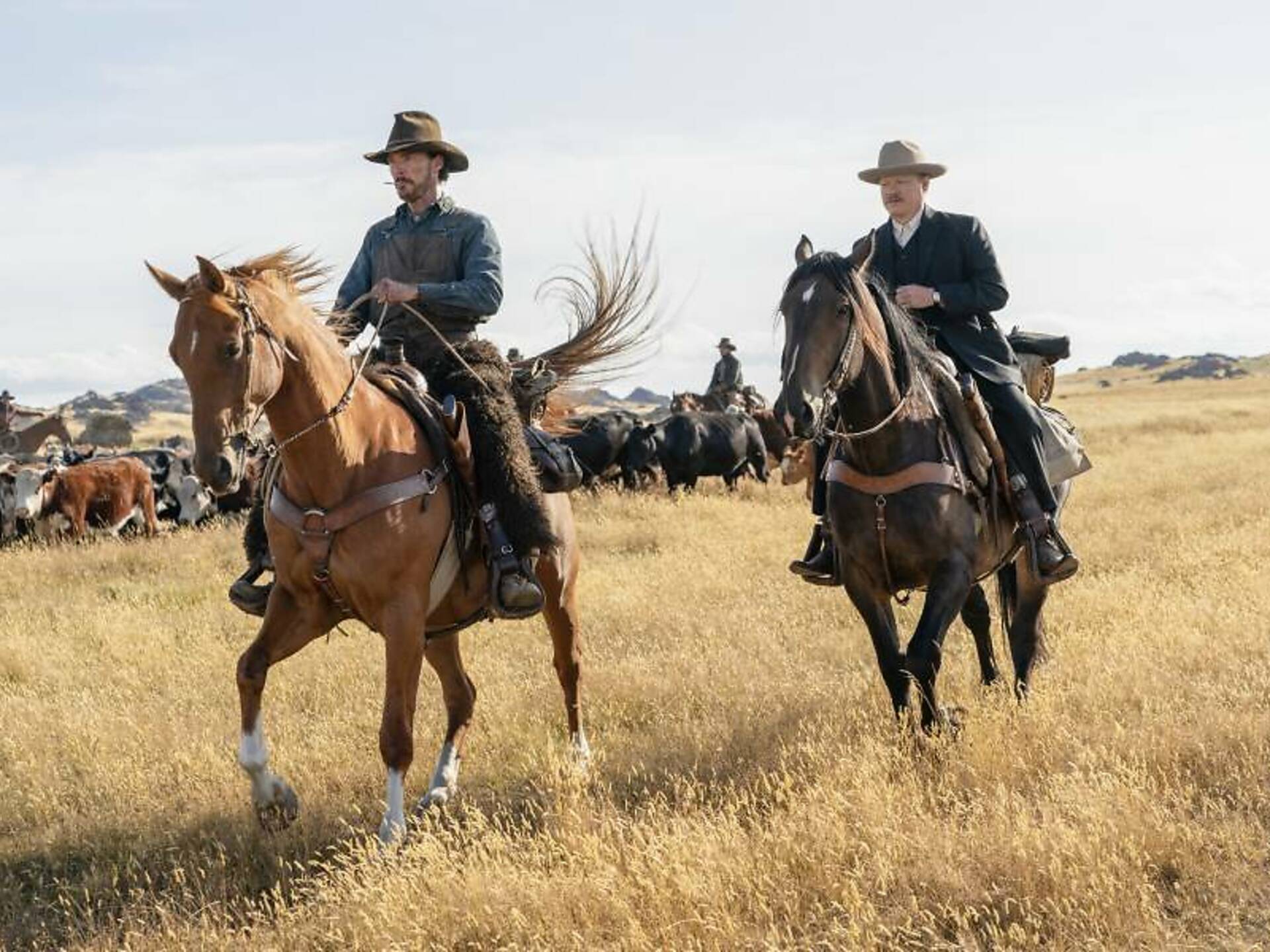 The 20 best movies of 2021