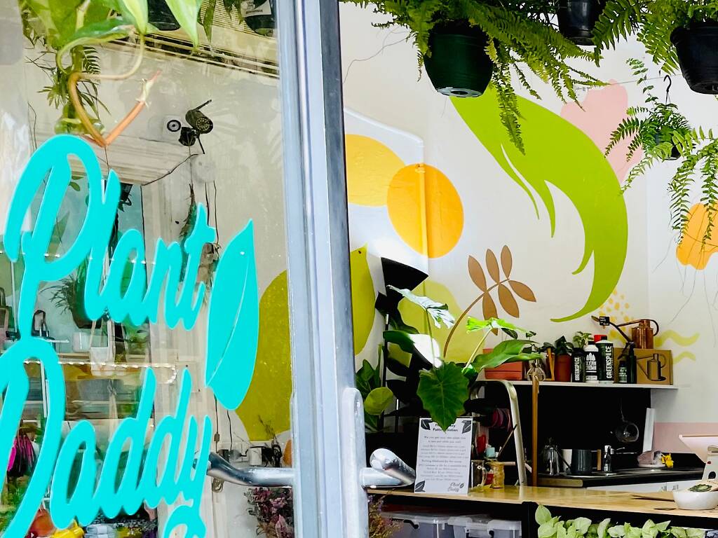 Plant Nurseries in Sydney – the best plant markets and shops