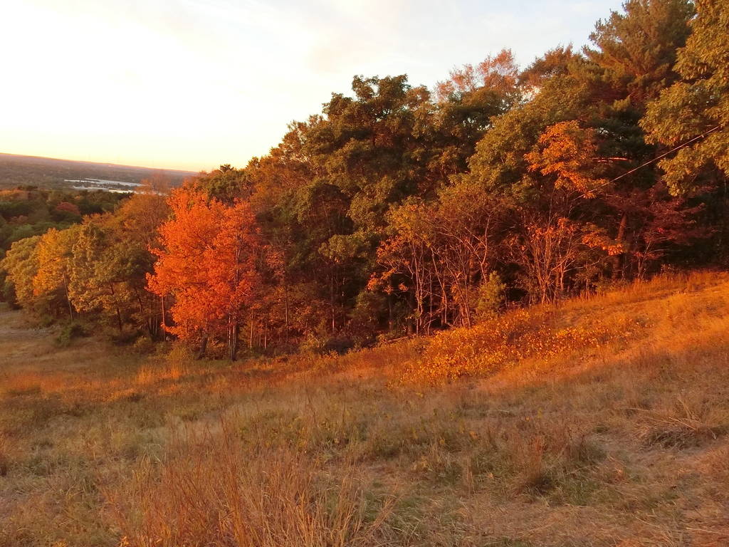 14 Places in Boston to See Fall Foliage for Gorgeous Fall Colors