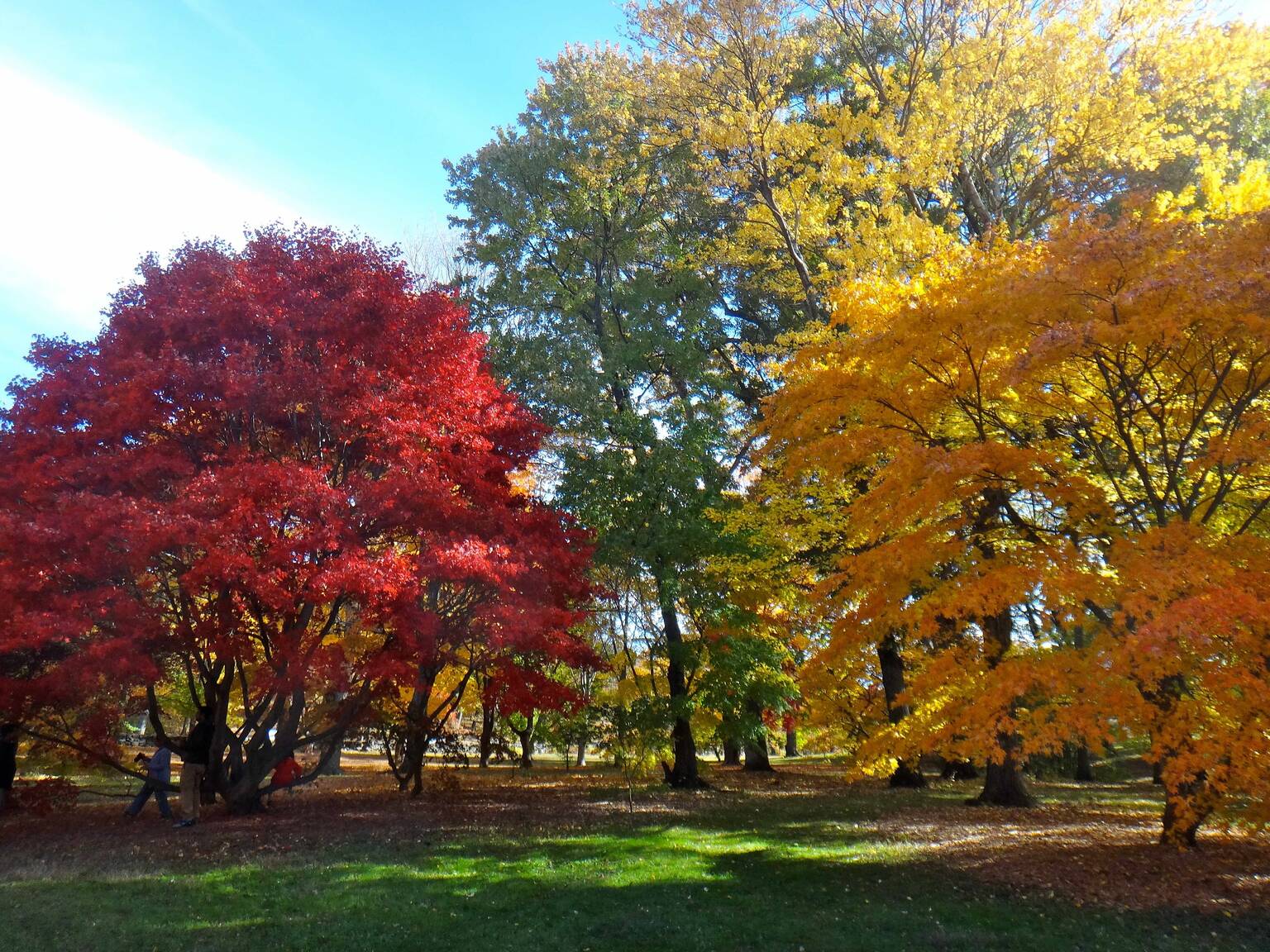 14 Places in Boston to See Fall Foliage for Gorgeous Fall Colors