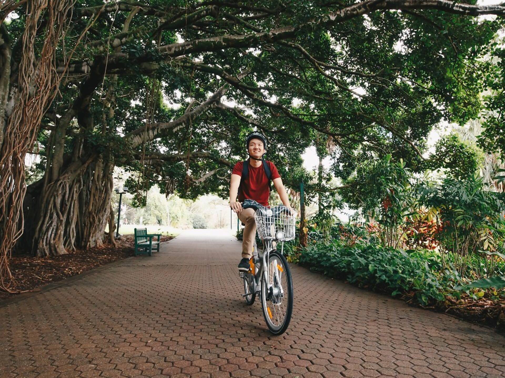 The 26 best things to do in Brisbane for visitors, locals and more