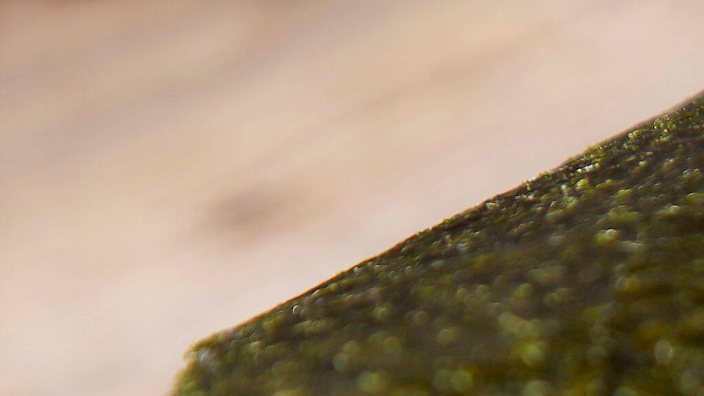 15 best things to do on Enoshima: attractions, restaurants, cafés and shops