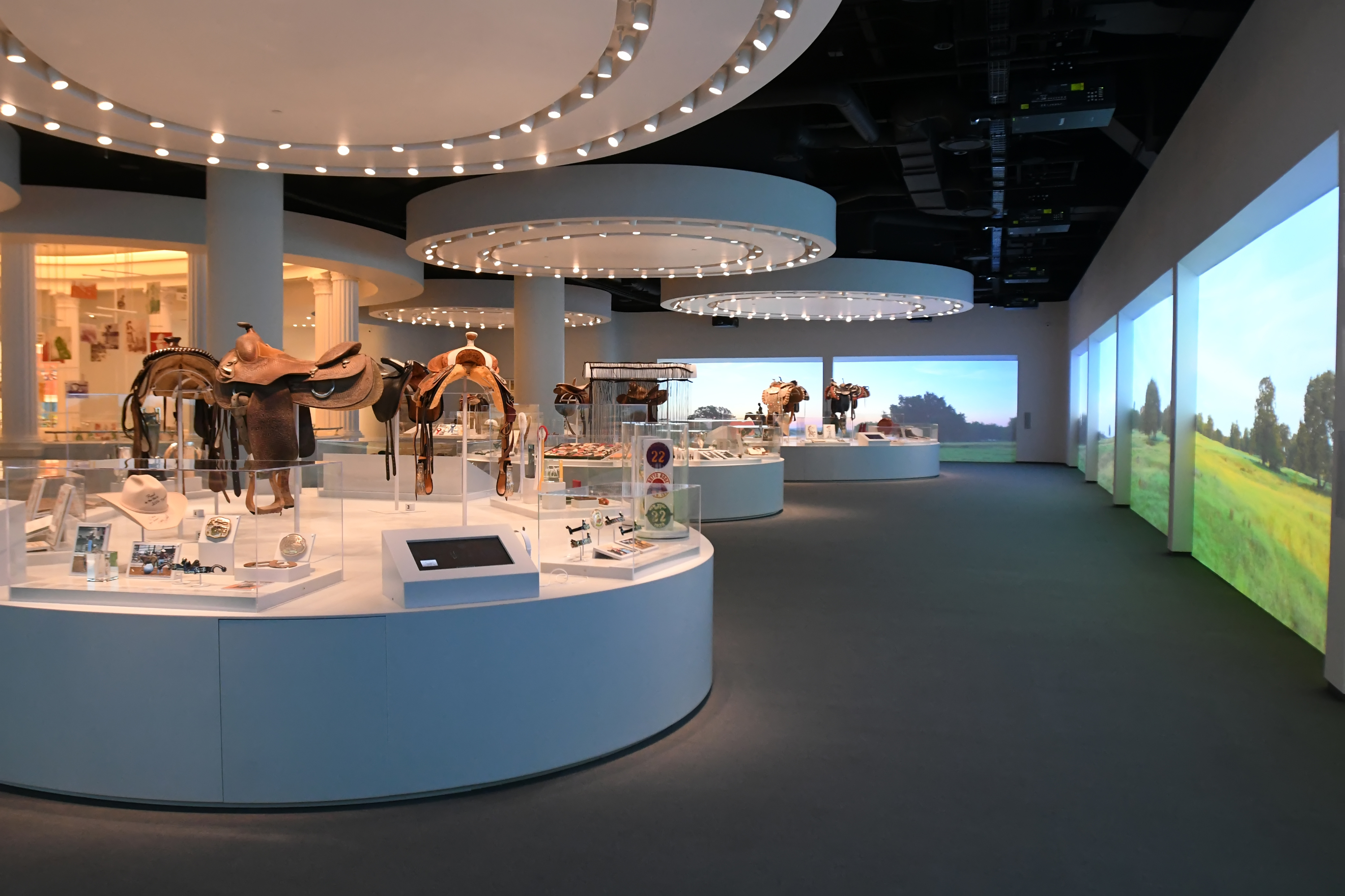 13 Best Museums in Dallas According to Locals