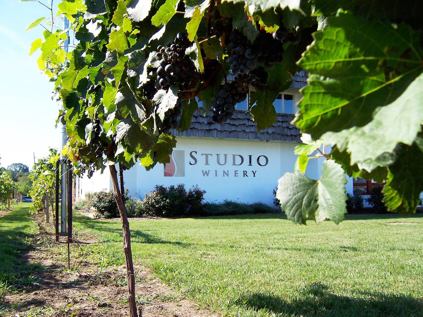 24 Amazing Wineries Near Chicago for Scenic Sipping