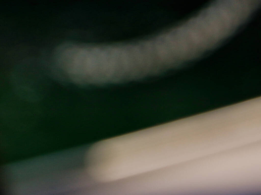 10 Animal Phenomena in the US That You Have to Witness at Least Once