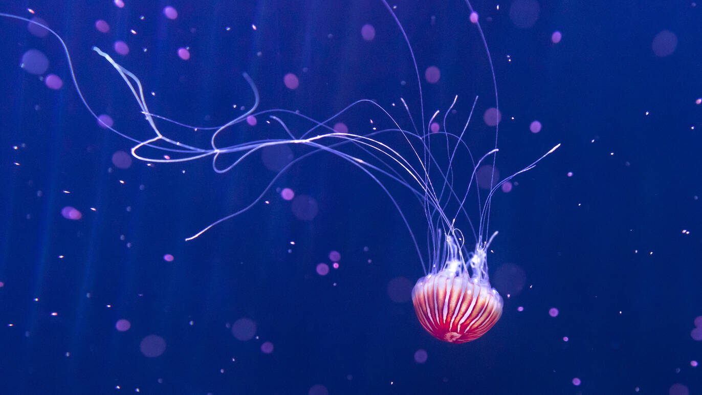 Cube O Discovery Park | Things to do in Tsuen Wan, Hong Kong