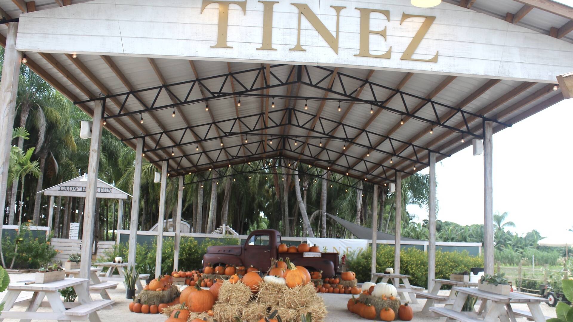 Tinez Farms Fall Festival | Things to do in Miami