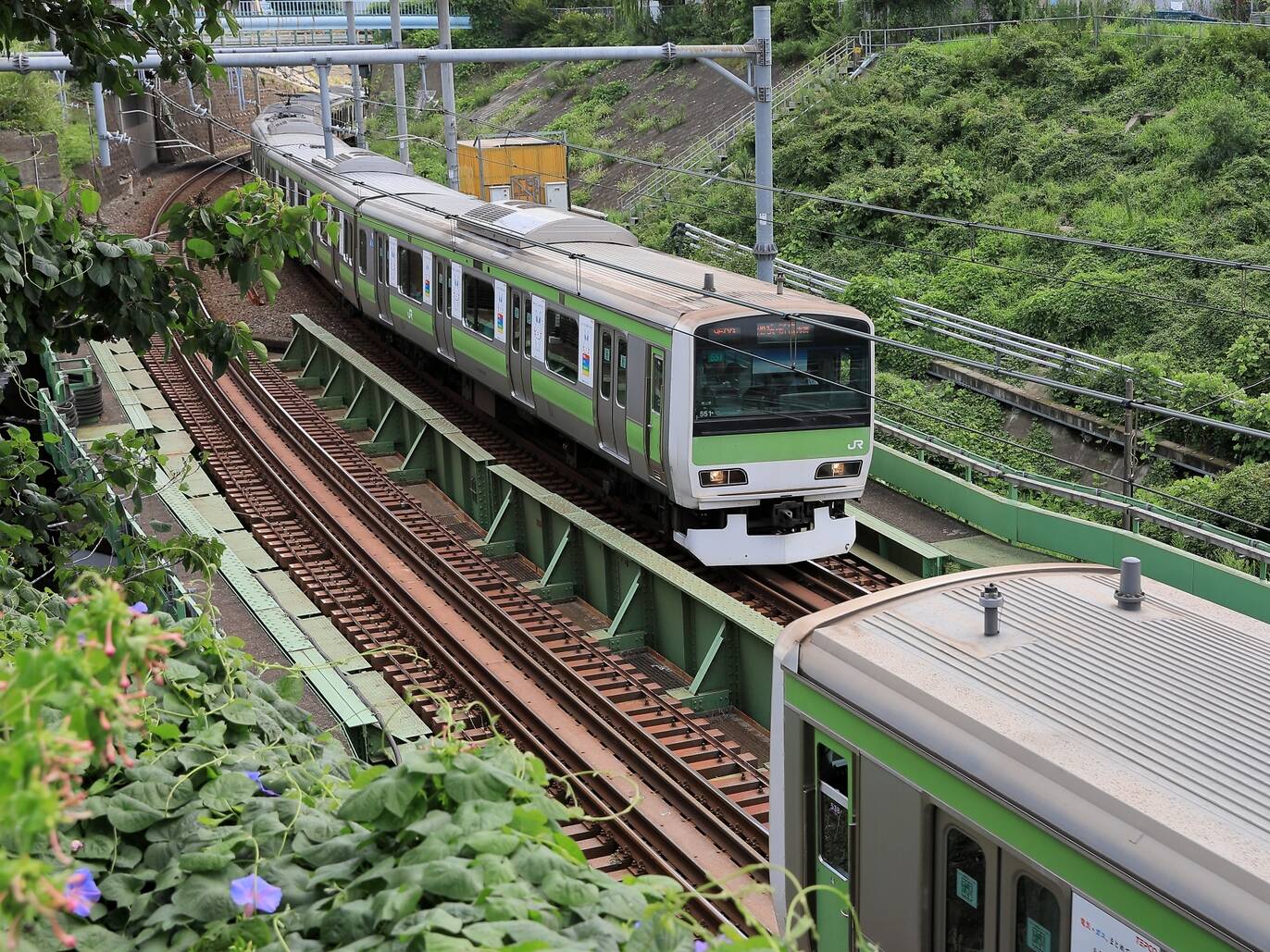 50 reasons why Tokyo is the greatest city on Earth