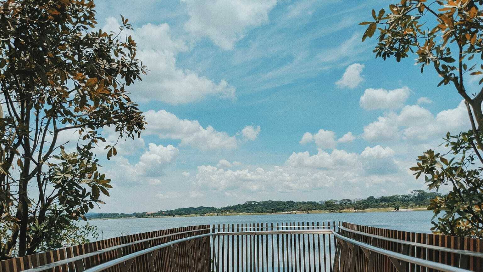 Cycle to this scenic spot at Lower Seletar Reservoir for amazing sunset ...