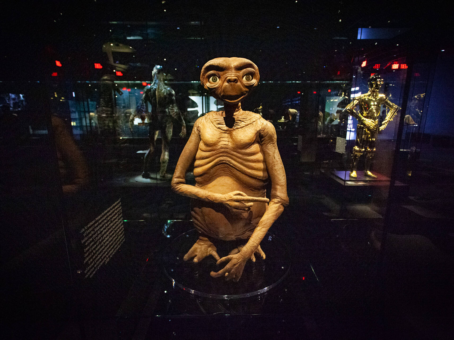 Academy Museum of Motion Pictures: A Guide Before You Visit