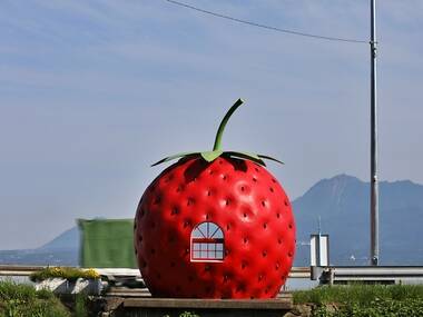 The adorable fruit-shaped bus stops of Nagasaki, Japan