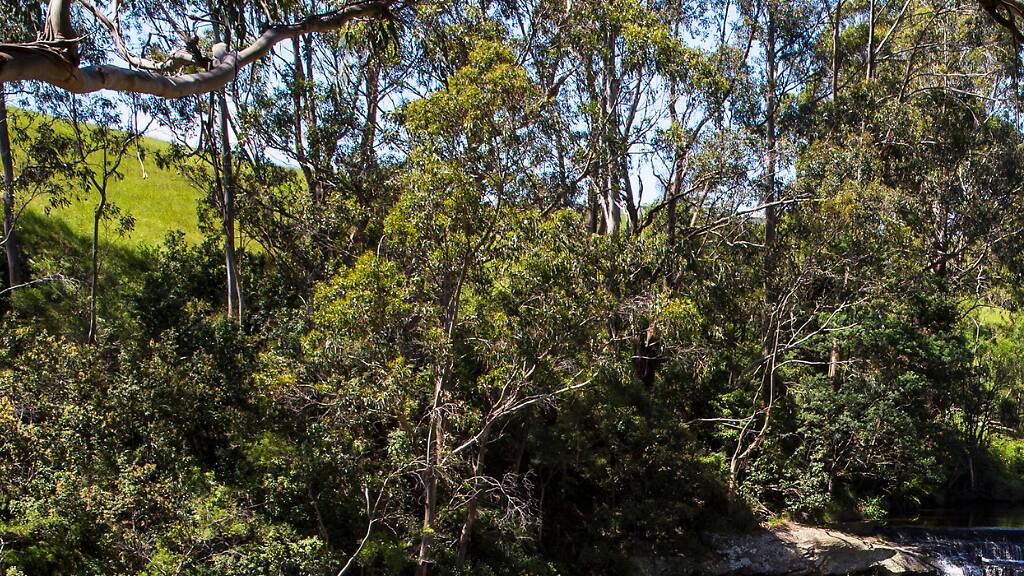 The 16 Best Waterfalls in Victoria, Melbourne 2025