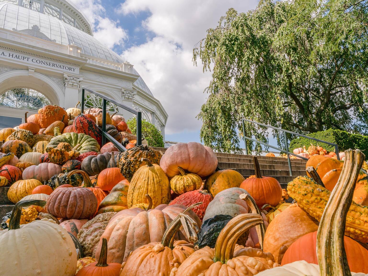 Fall activities in NYC: A guide of great things to do this autumn
