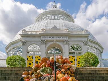 Best NYC Events in September 2025 Including Fall Happenings