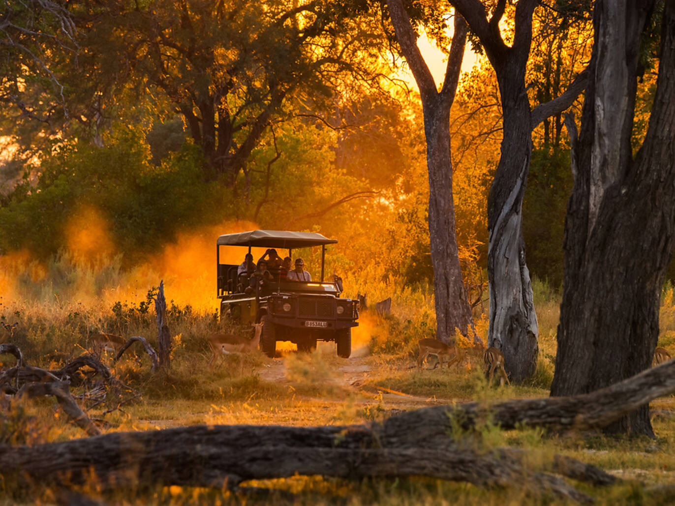 7 Best Sustainable Tourism Destinations for Ecotourists