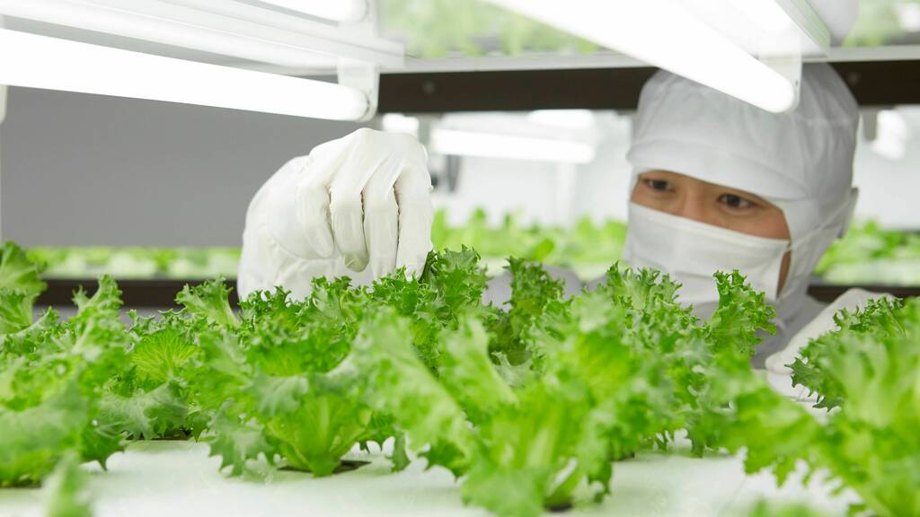 50 reasons why Tokyo is the greatest city on Earth