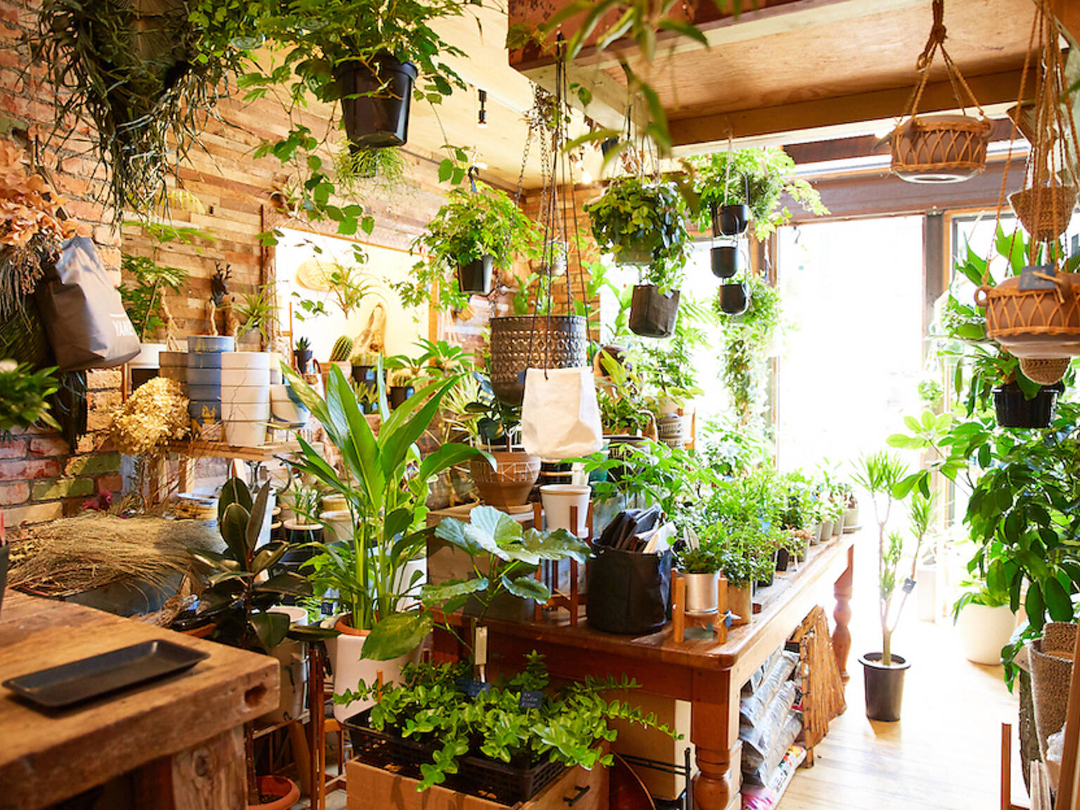 東京、グリーンショップ10選