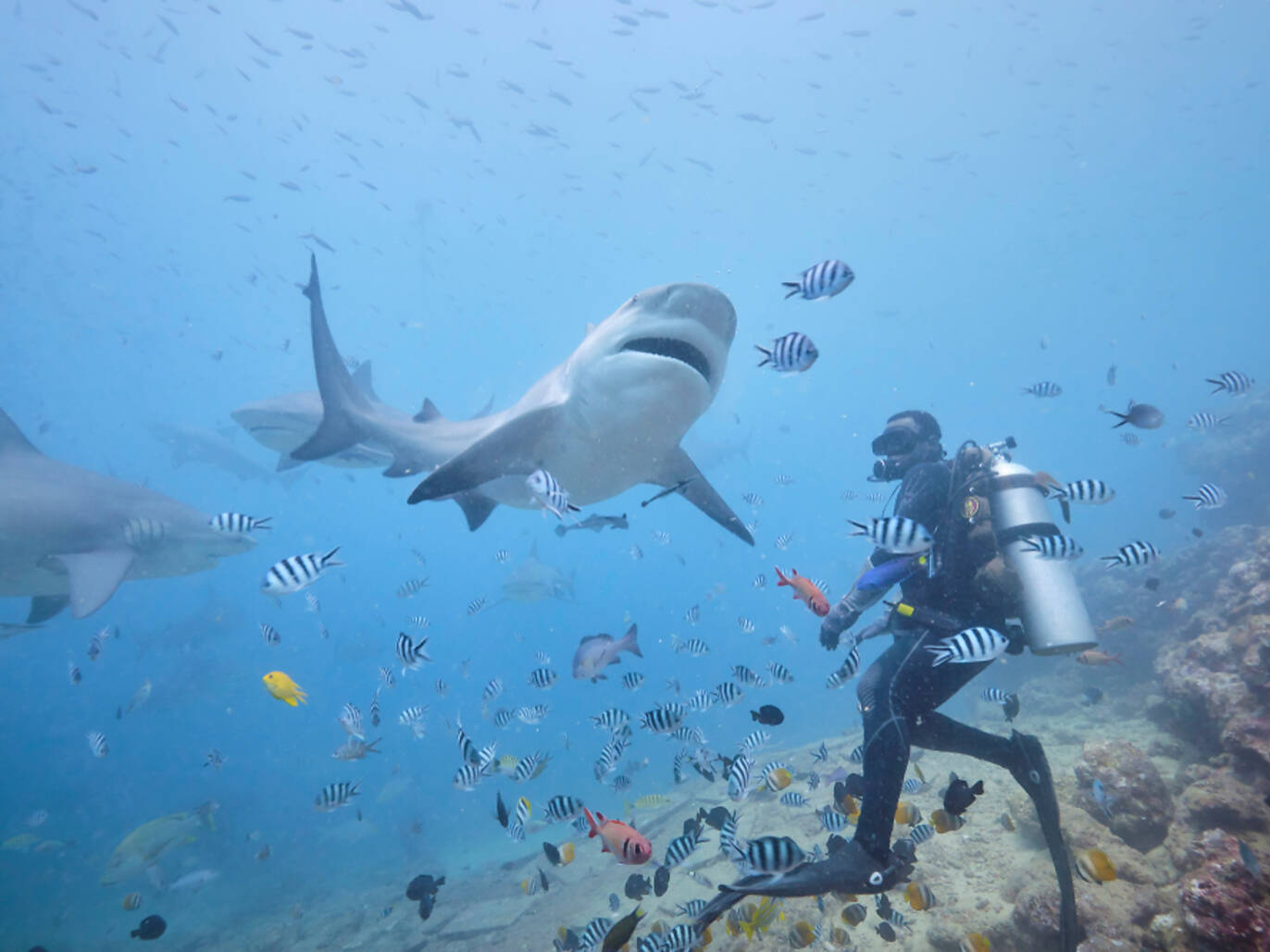 7 Best Things to Do in Key Largo