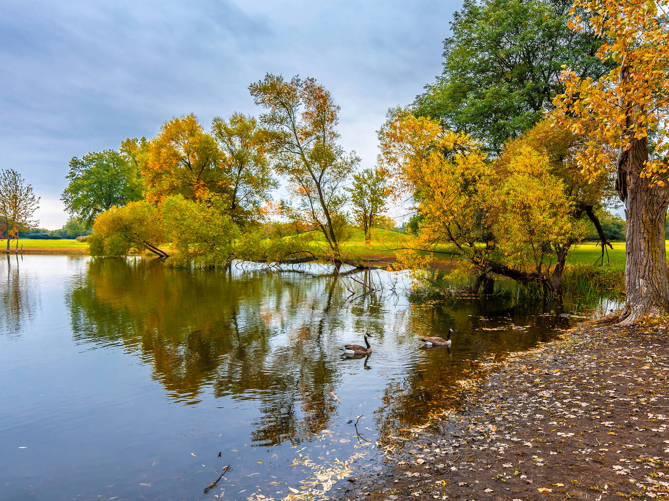 Fall Colors Chicago: 25 Best Places To See Fall Foliage 2023