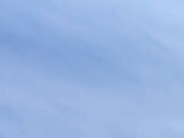 25 Best Places to See Fall Colors in Chicago