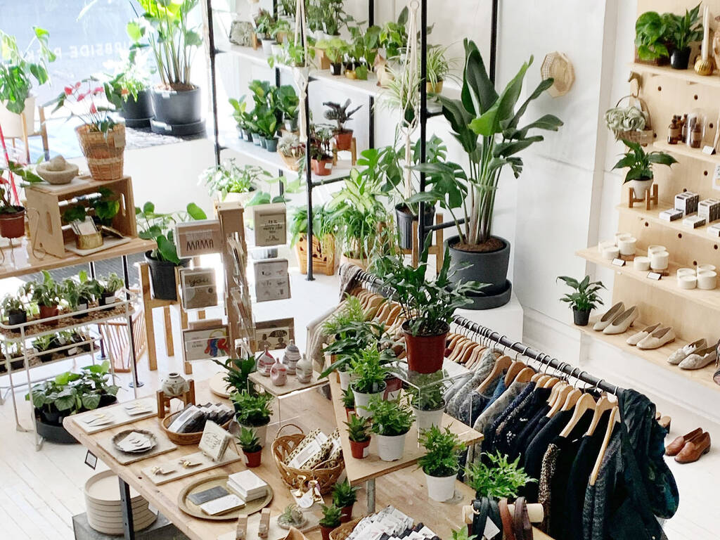 14 Chicago Plant Stores For Finding Gorgeous Home Greenery