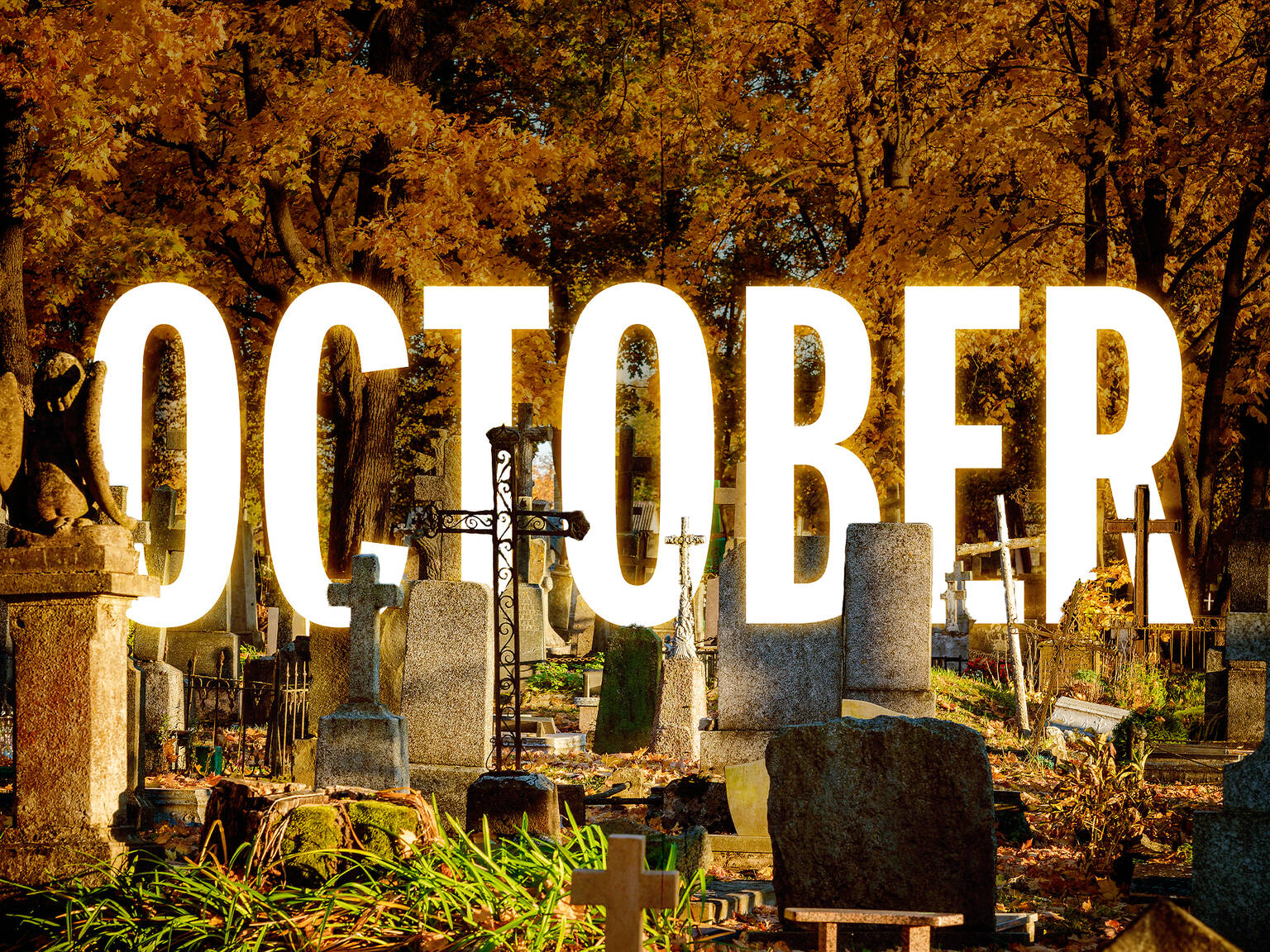 Brilliant Events and Things To Do In London In October 2025 – Time Out ...