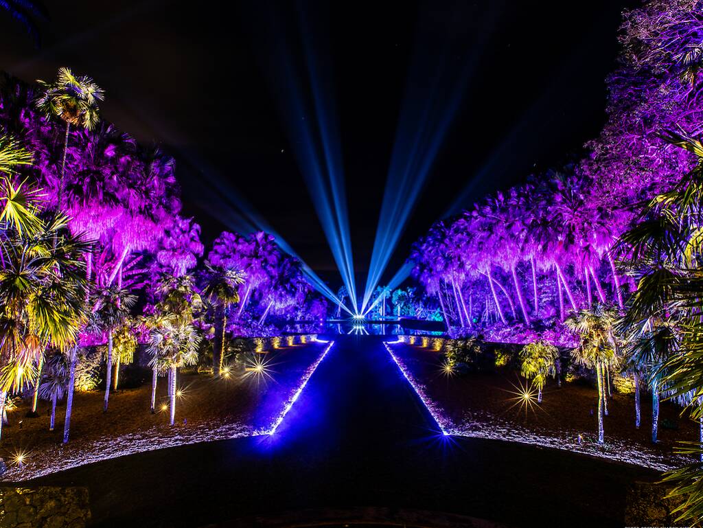 The Best January Events in Miami 2023