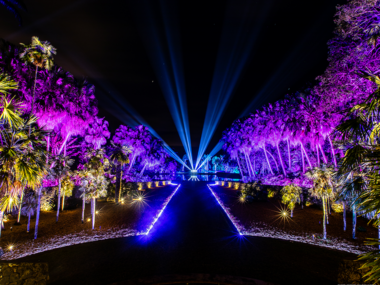 Things to do in Miami in December 2024: Best Events