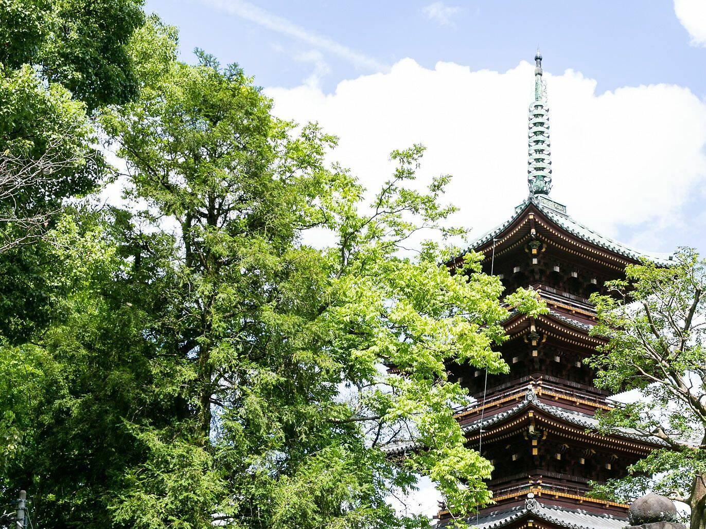 9 best things to do at Ueno Park: museums, temples, shrines and attractions