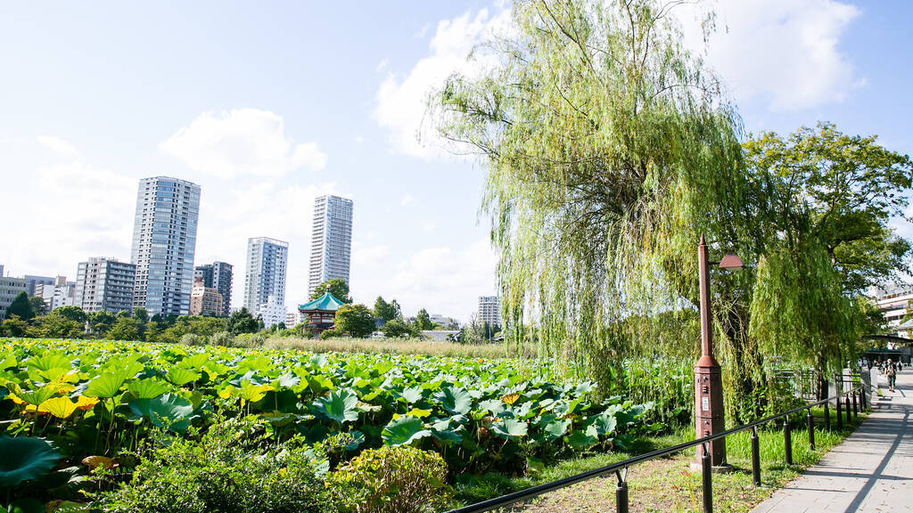 9 best things to do at Ueno Park: museums, temples, shrines and attractions