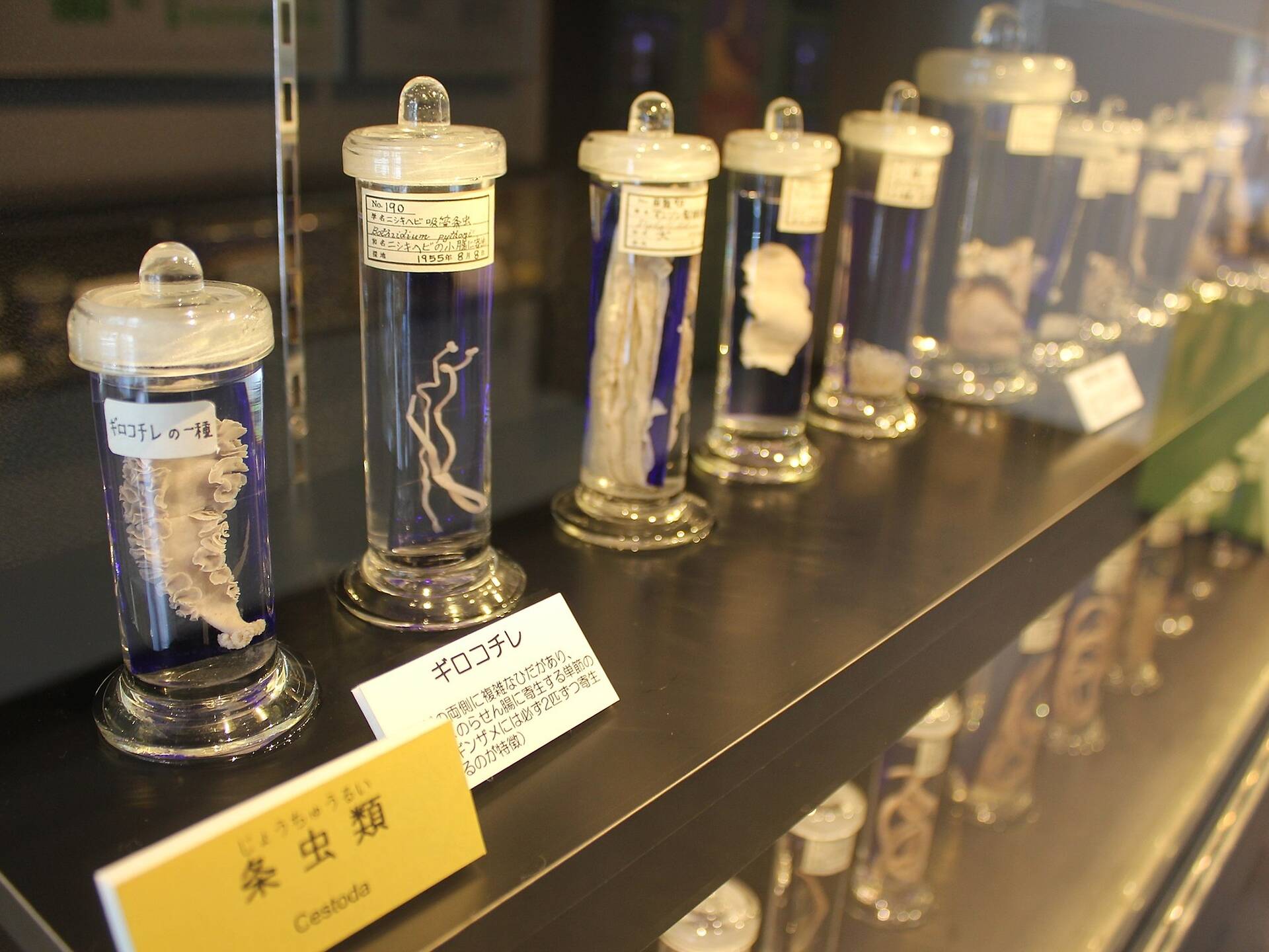 15 Best Weirdest Museums in the World for an Alternative Experience