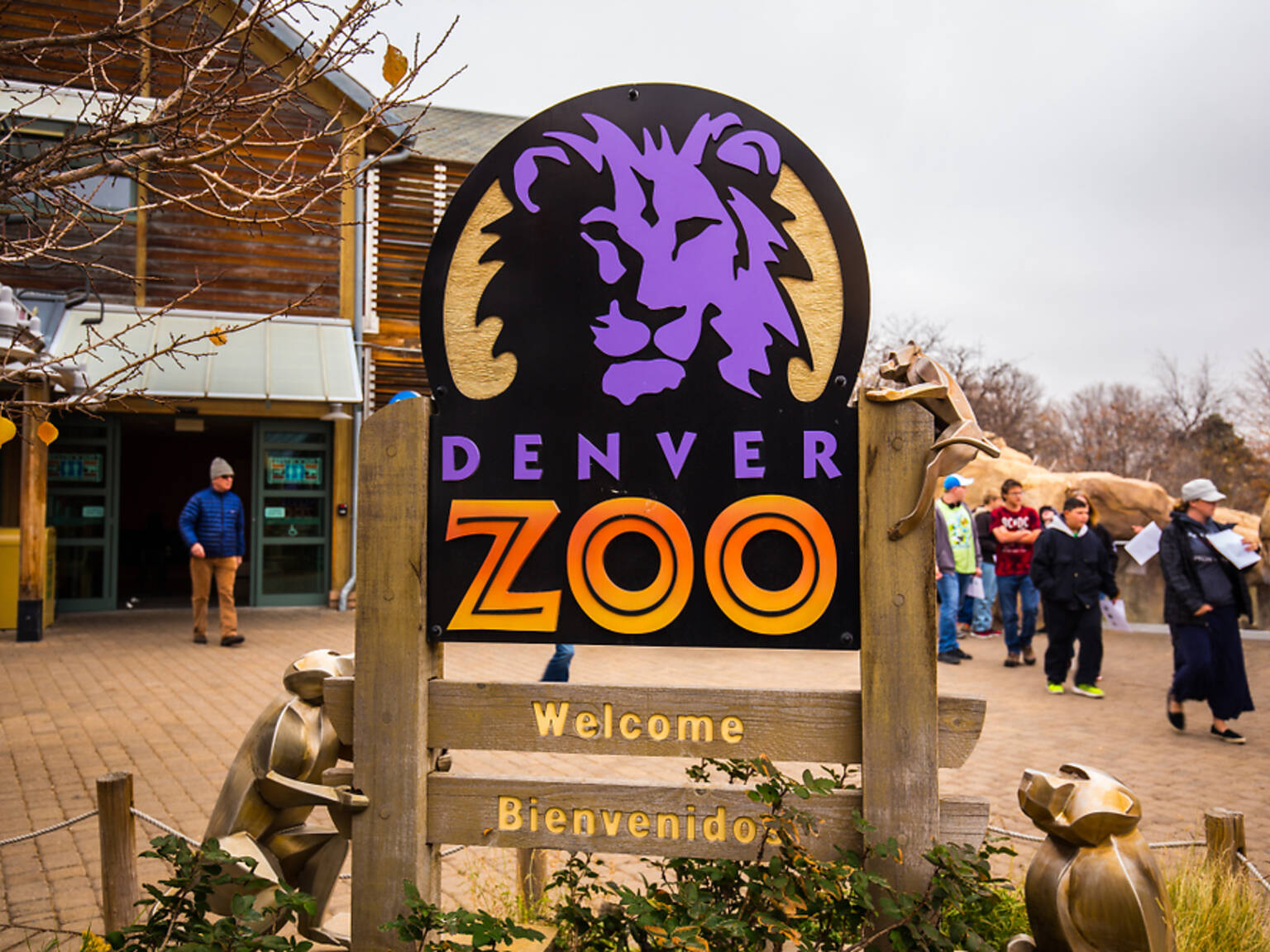 31 Best Zoos in the USA for Connecting with Wildlife