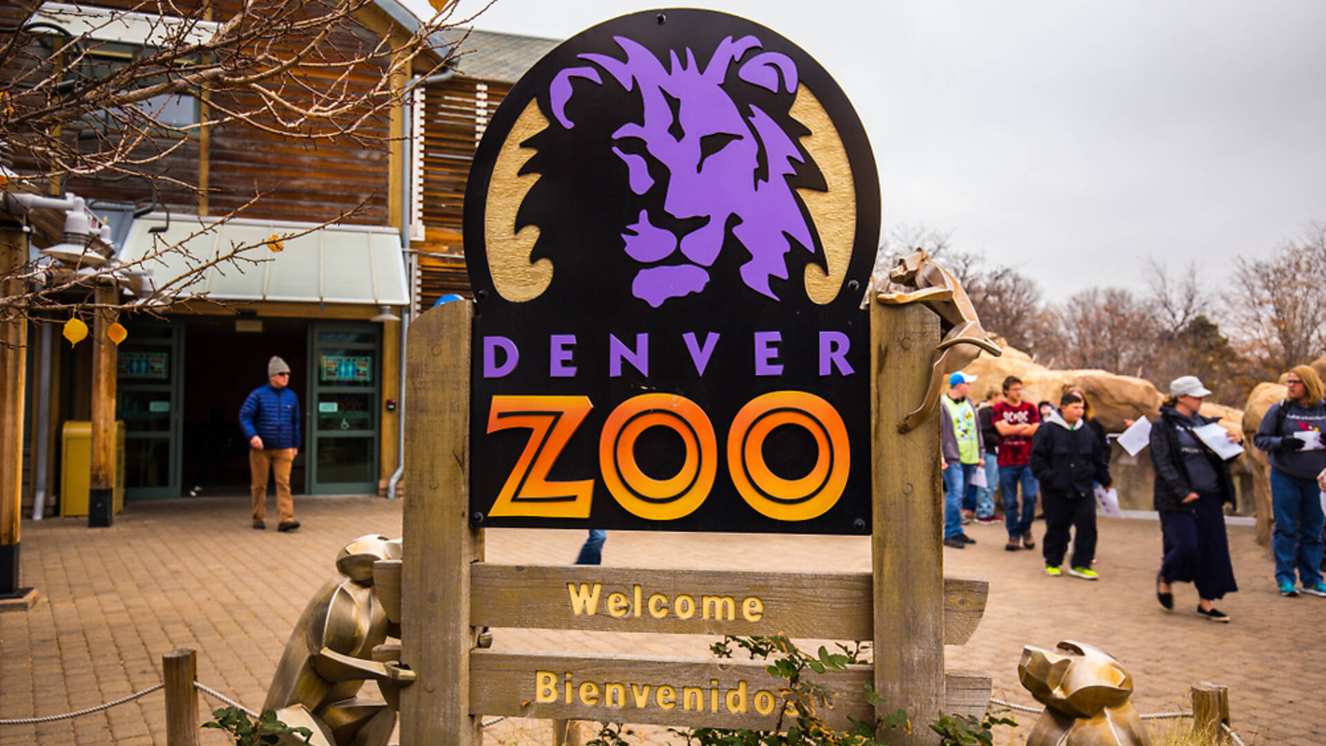 31 Best Zoos in the USA for Connecting with Wildlife