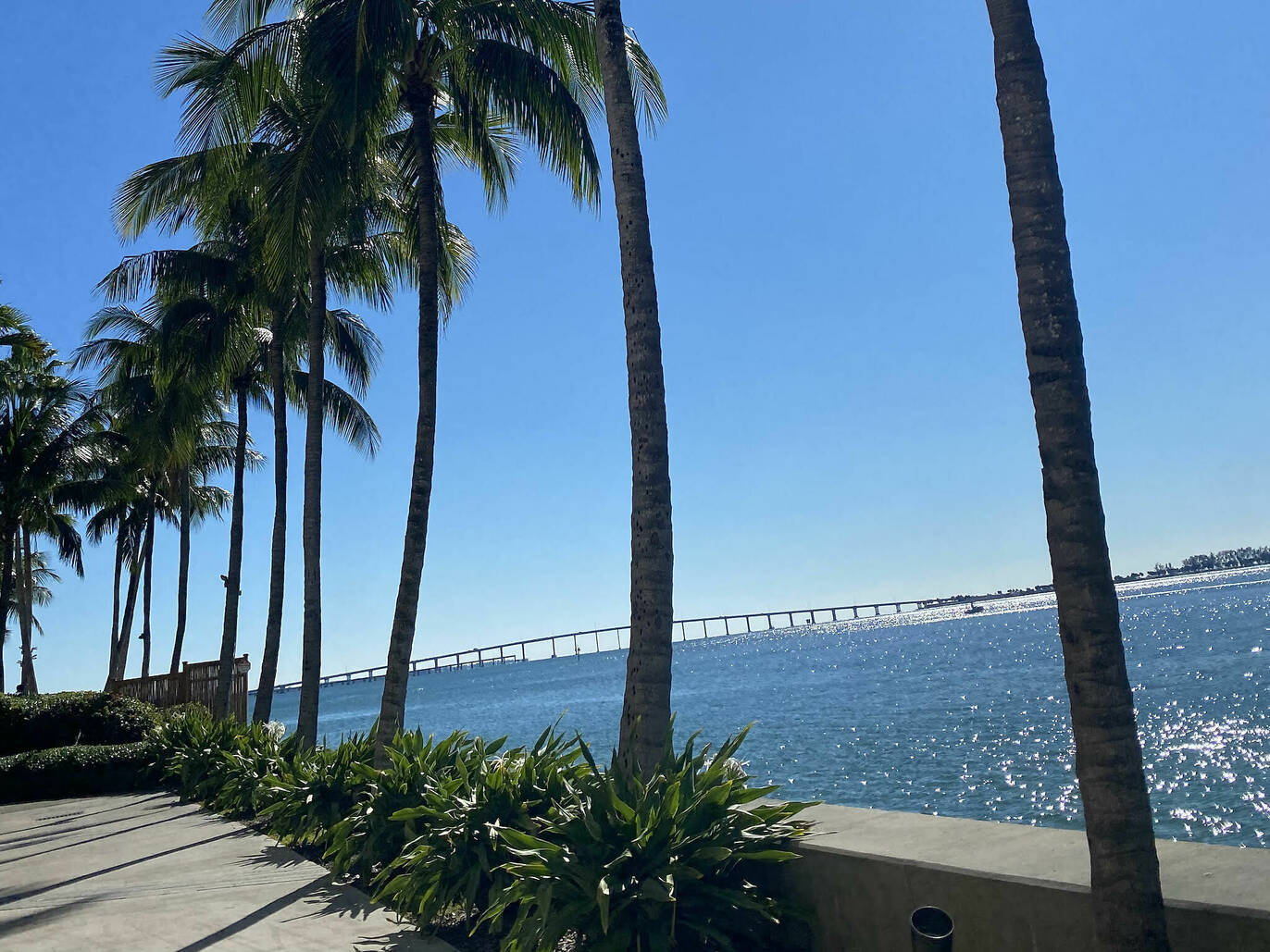 Brickell, Miami, Neighborhood Guide: What to See, Eat & Do