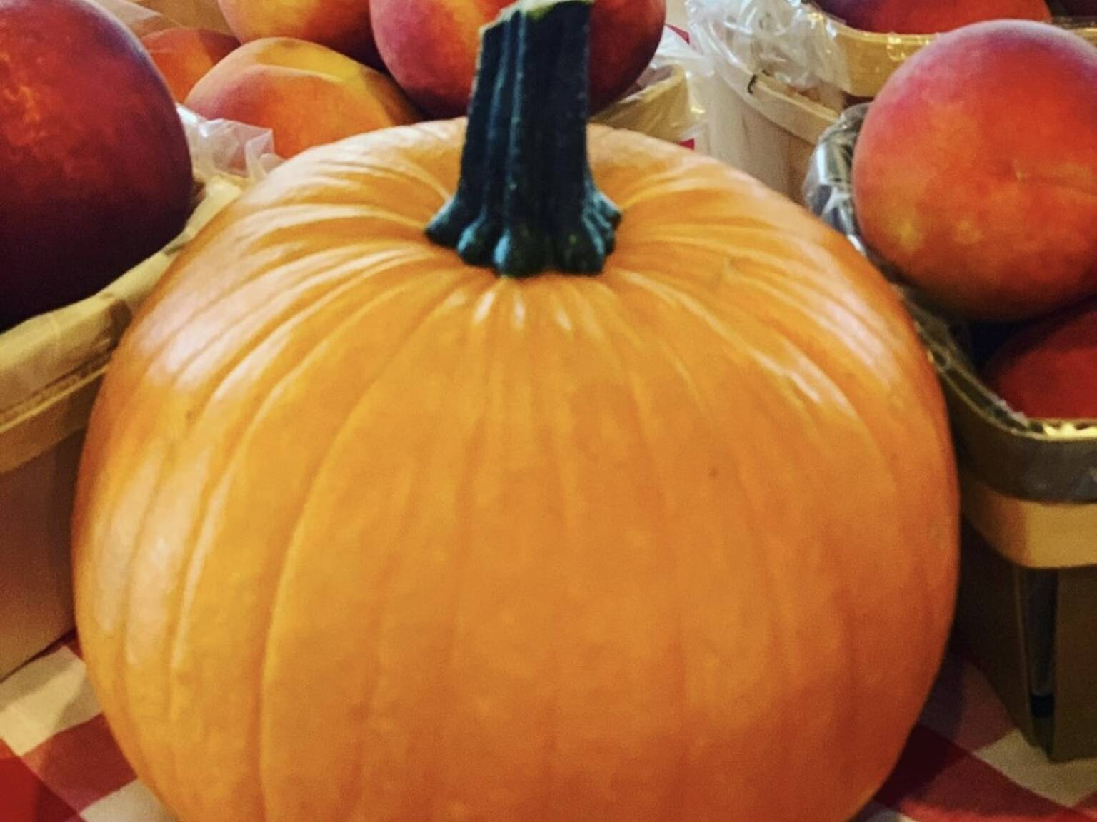 26 Pumpkin Patches Near Chicago to Visit in 2023