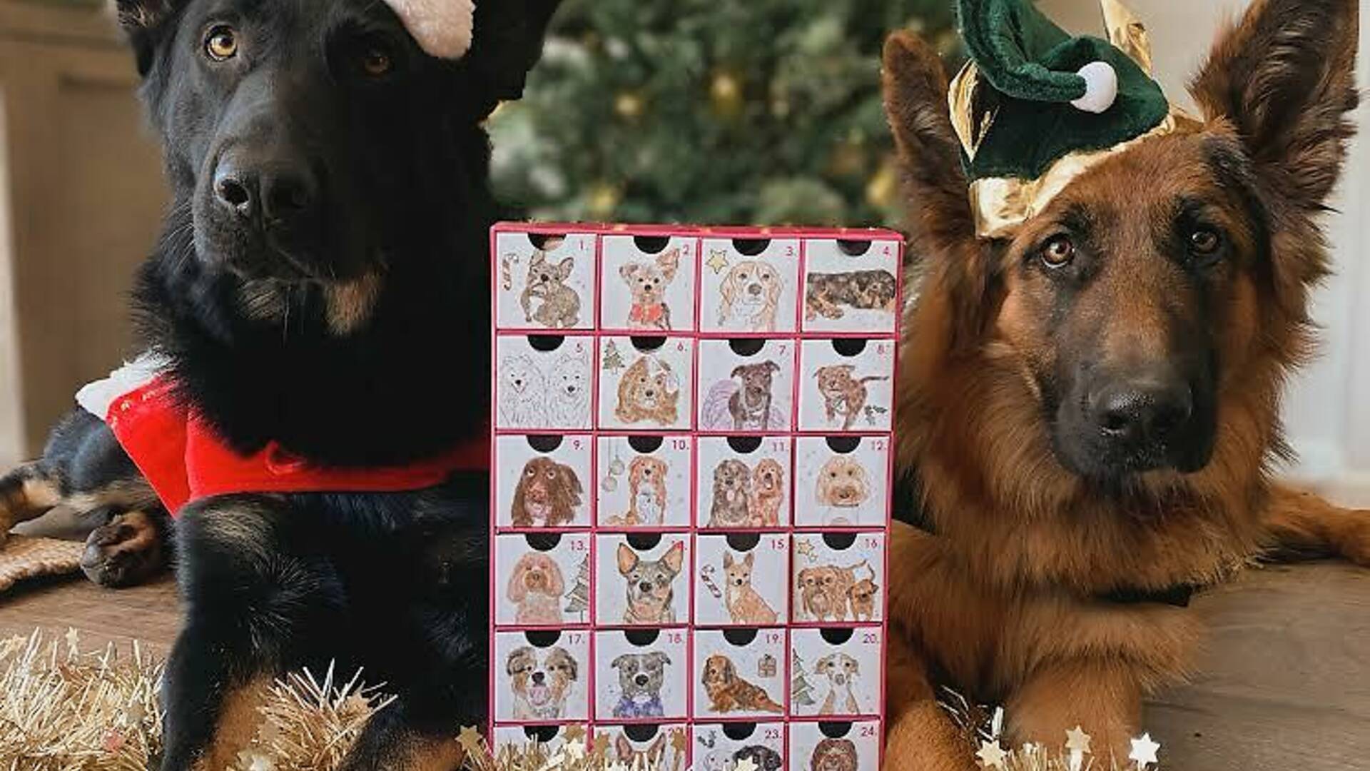 The 9 best advent calendars in Australia