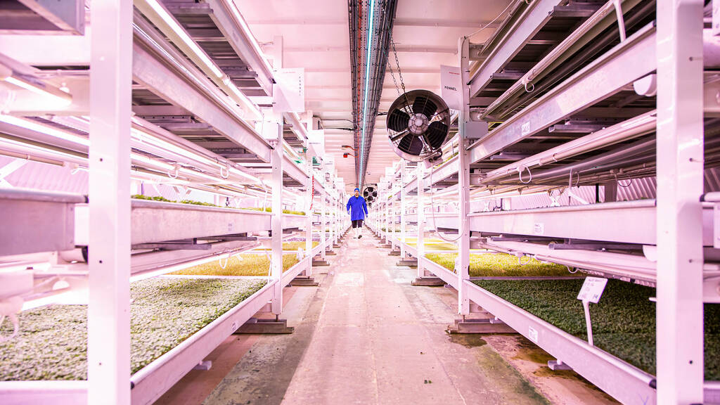 Tour the future of farming at Growing Underground