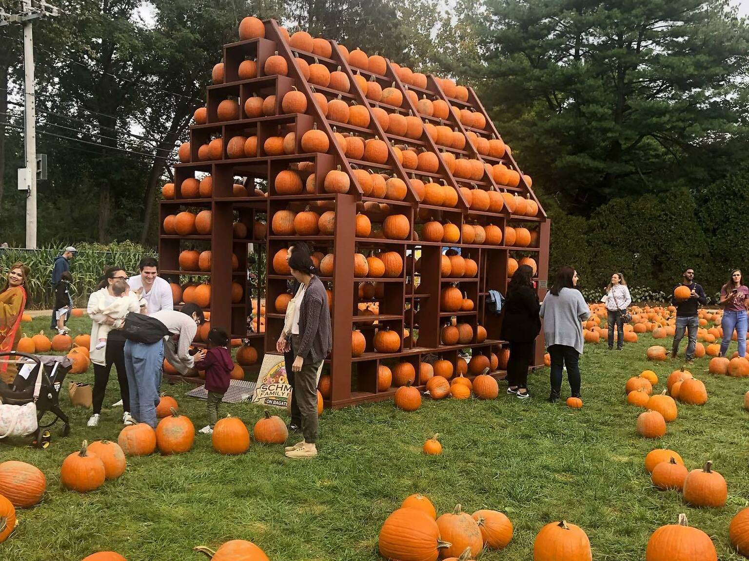 17 Pumpkin Patches Near NYC for Fall Fun