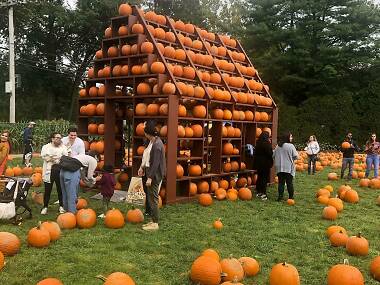 17 Pumpkin Patches Near NYC for Fall Fun