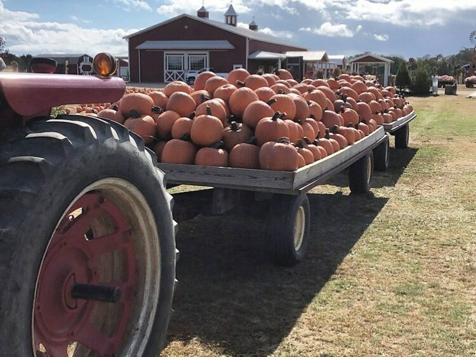 17 Pumpkin Patches Near NYC for Fall Fun